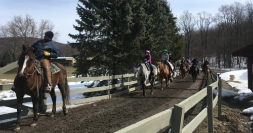 Guide to Rocking Horse Ranch All Inclusive Family Vacation - Suburbs 101