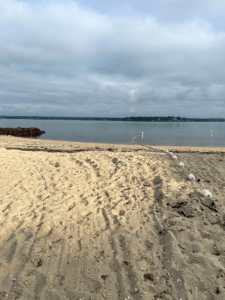 12 Best Connecticut Beaches for New York Day Trips - Suburbs 101