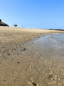 12 Best Connecticut Beaches for New York Day Trips - Suburbs 101