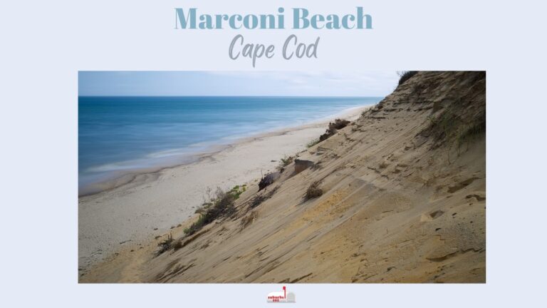 10 Best Beaches in Cape Cod (with pictures) - Suburbs 101