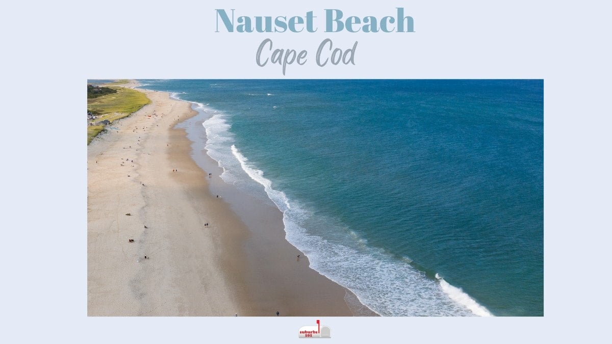 10 Best Beaches in Cape Cod (with pictures) - Suburbs 101