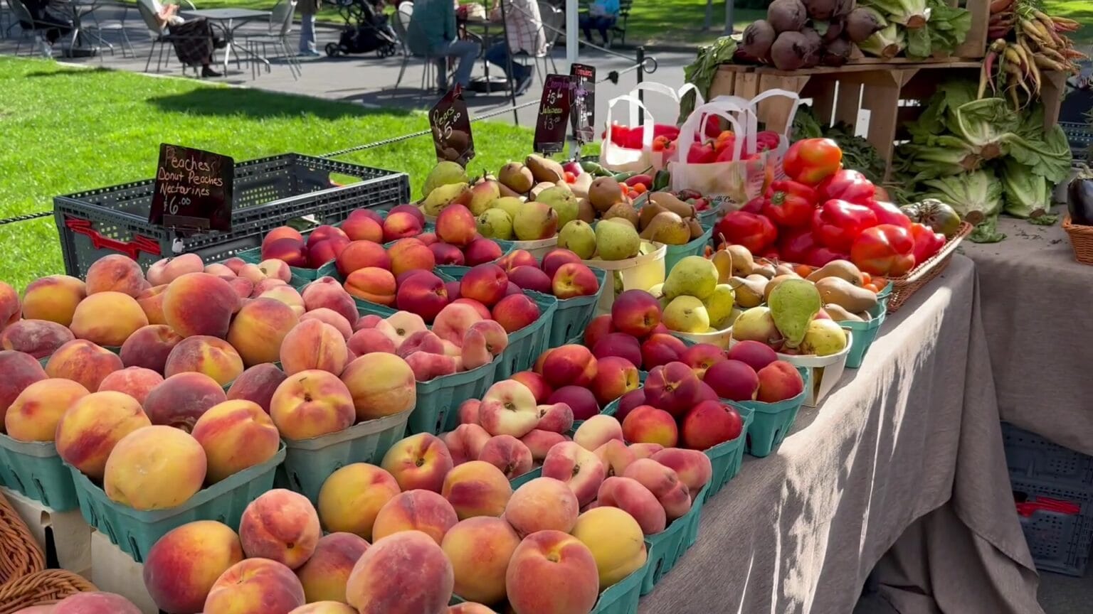 Long Island Farmers Markets 2023 - Suburbs 101