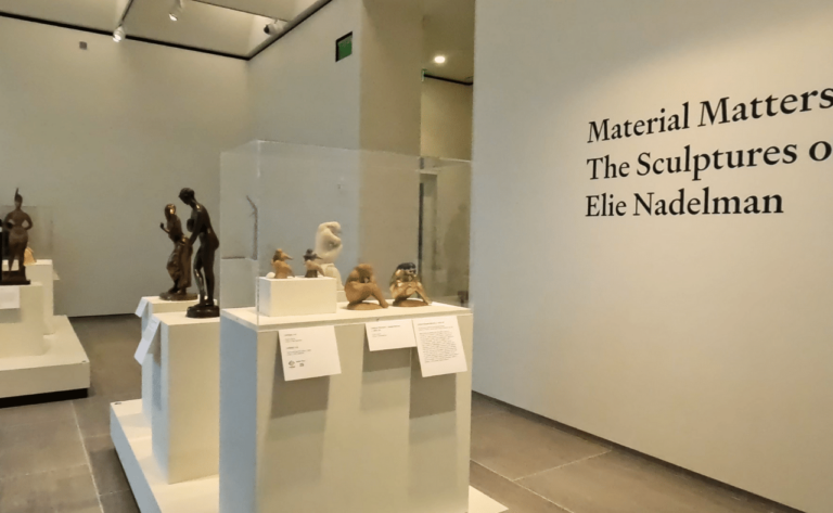 Inside the New Bruce Museum in Greenwich, CT (photos and video ...