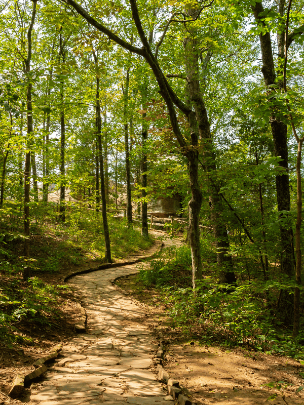 Free Things to Do in the Chicago Suburbs - Suburbs 101