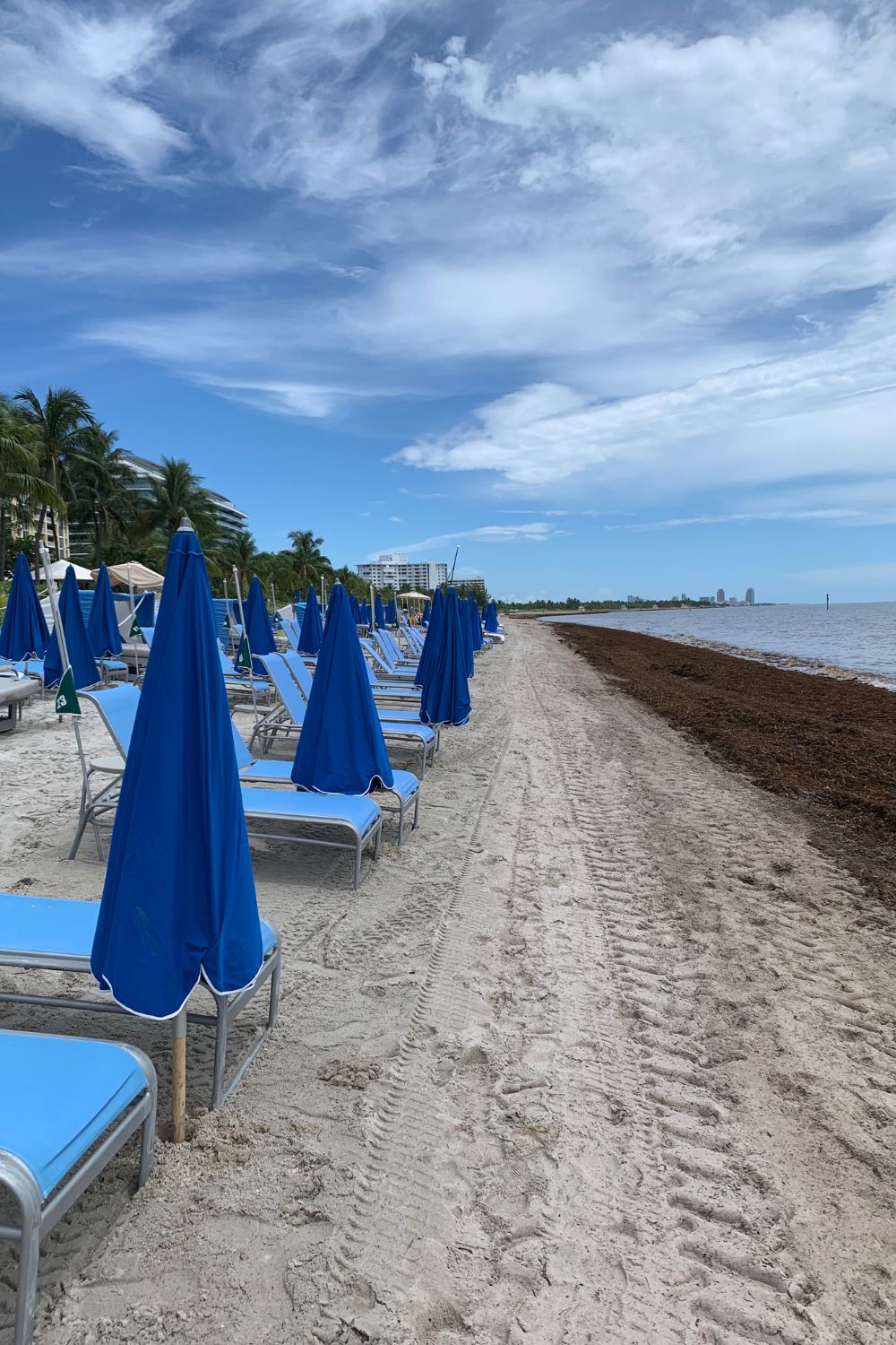 9 Most Affordable Beach Towns near Tampa, FL 2024 - Suburbs 101