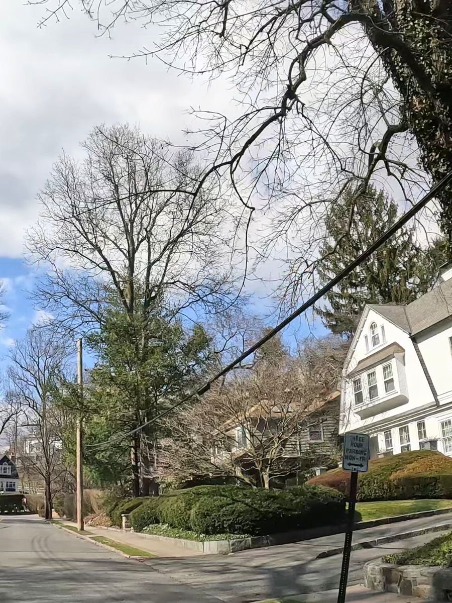 10 Best New York City Suburbs to Live in for Families (2025) - Suburbs 101