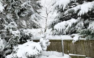 The Snowiest Places in the US: Record Breaking Snowstorms - Suburbs 101