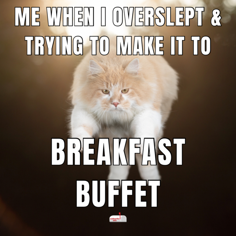 15 Cruise Memes That Will Make You Laugh Out Loud - Suburbs 101