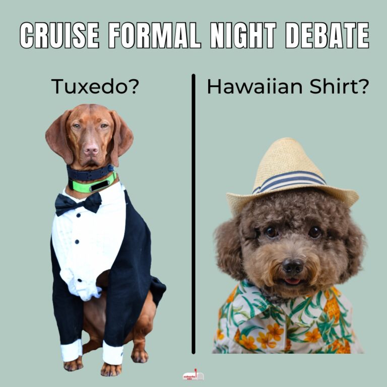 15 Cruise Memes That Will Make You Laugh Out Loud - Suburbs 101