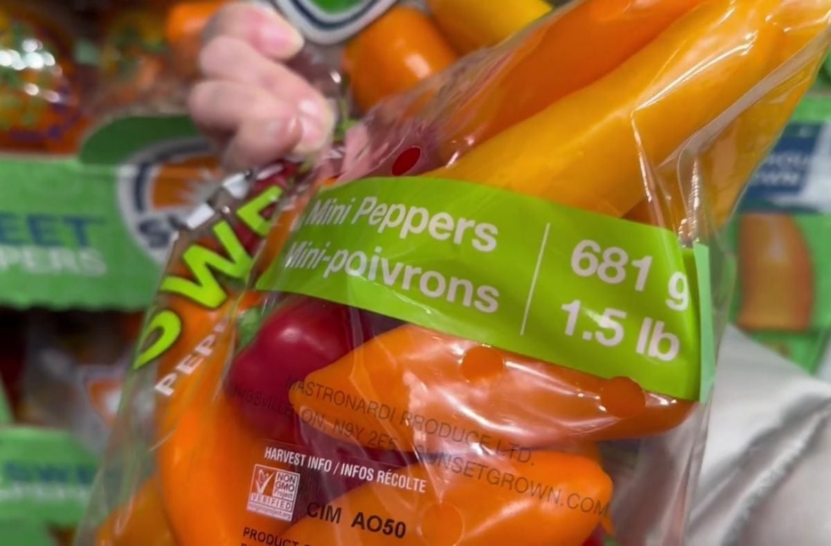 28 Things I Always Buy at Costco - Suburbs 101