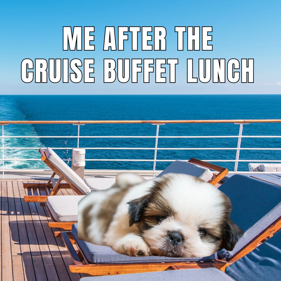 15 Cruise Memes That Will Make You Laugh Out Loud - Suburbs 101