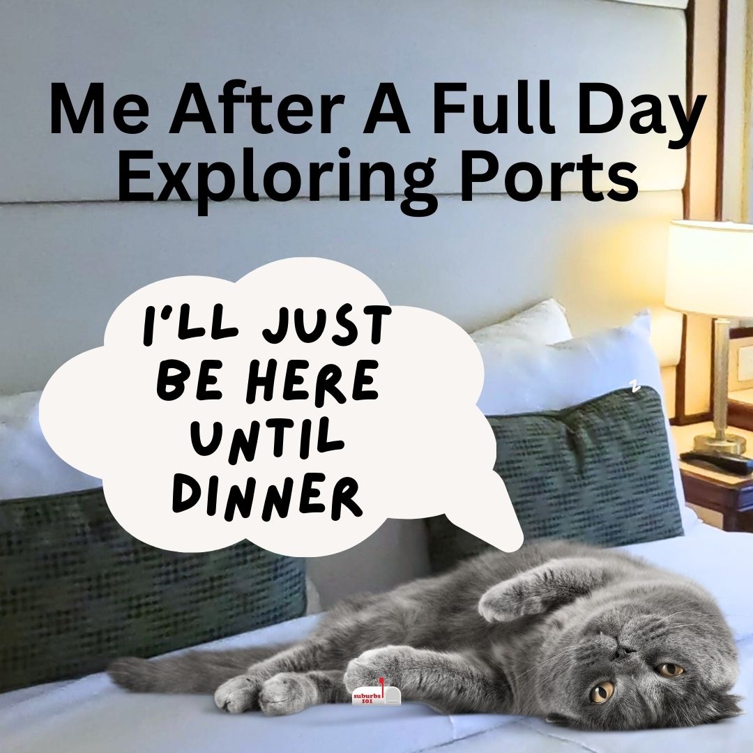 15 Cruise Memes That Will Make You Laugh Out Loud - Suburbs 101