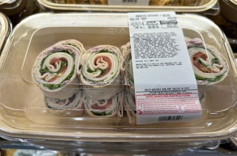 42 Easy Costco Lunch Box Ideas for Busy Parents - Suburbs 101