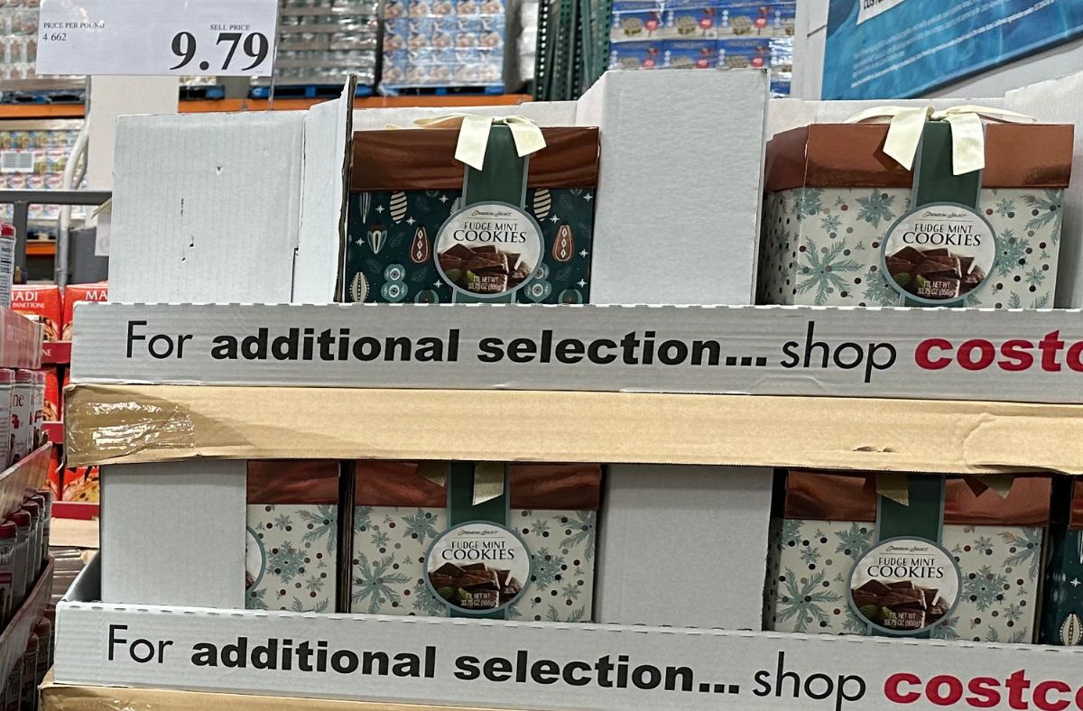 30 Christmas Gifts Under $20 at Costco to Buy Now Before They Sell Out ...