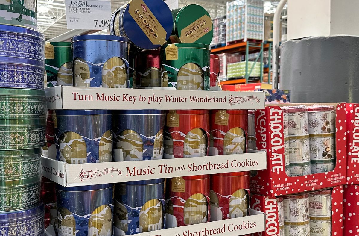 30 Christmas Gifts Under $20 at Costco to Buy Now Before They Sell Out ...