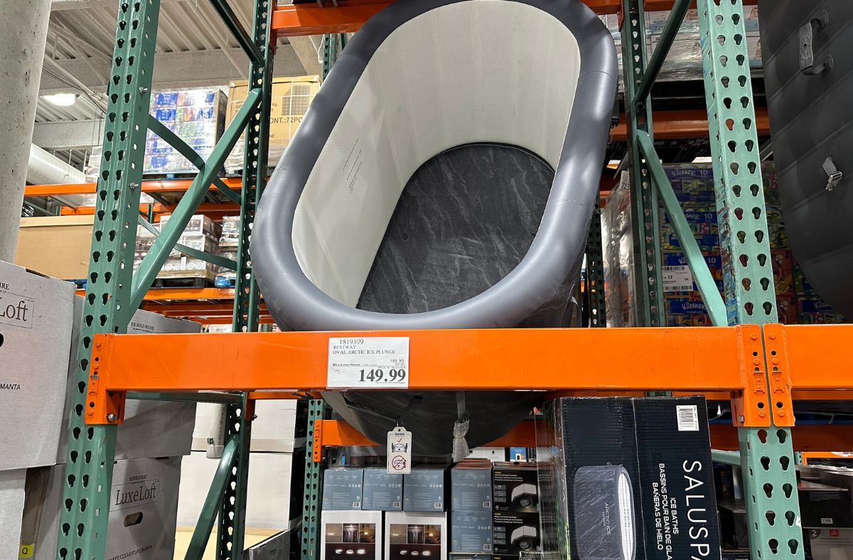 20 Costco Sale Items to Buy for Christmas Gifts (with prices) - Suburbs 101
