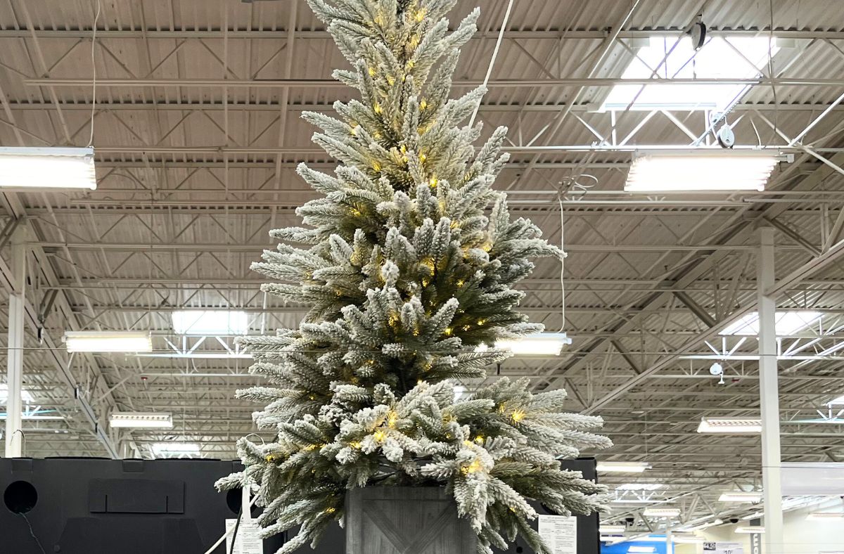 20 Stunning Sam's Club Christmas Decor to Buy on Clearance Now ...