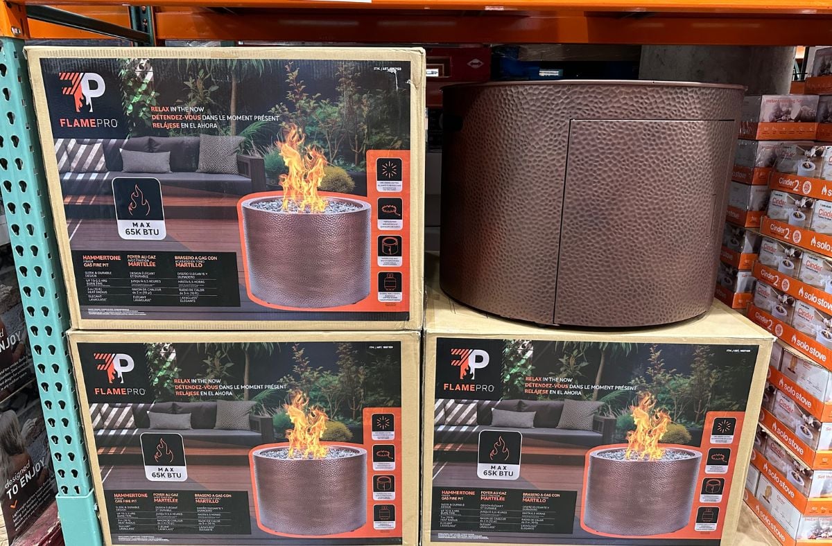 19 Surprising Things You Can Buy at Costco - Suburbs 101