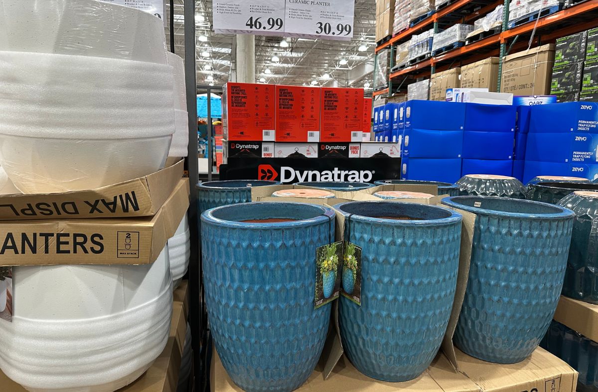 24 Exciting New Backyard Items You'll Love from Costco - Suburbs 101