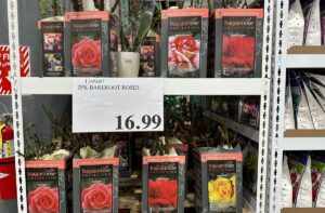 17 New Costco Plants to Cheer Up Your Home This Spring - Suburbs 101