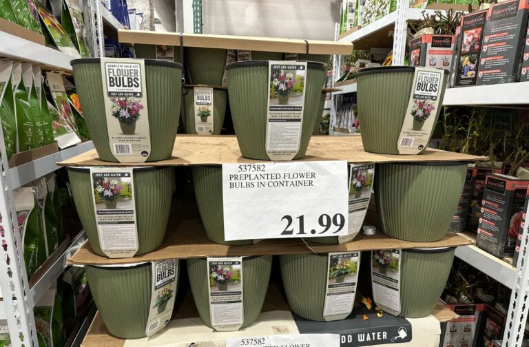 17 New Costco Plants to Cheer Up Your Home This Spring - Suburbs 101
