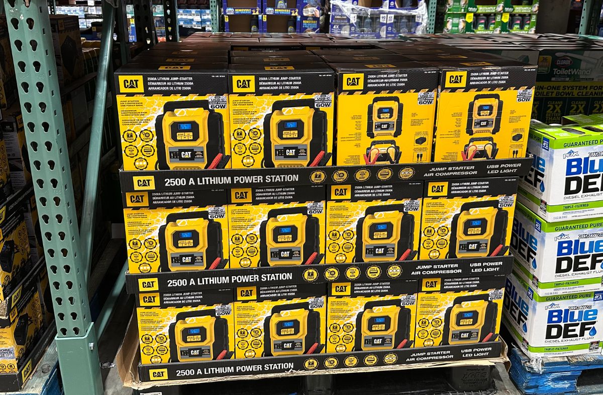 19 Costco Clearance Items You Need to See Before They Sell Out ...