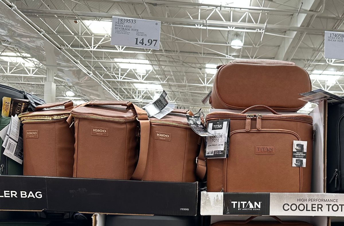 15 Summer Items on Sale at Costco You Need to See Before Prices Go Up ...