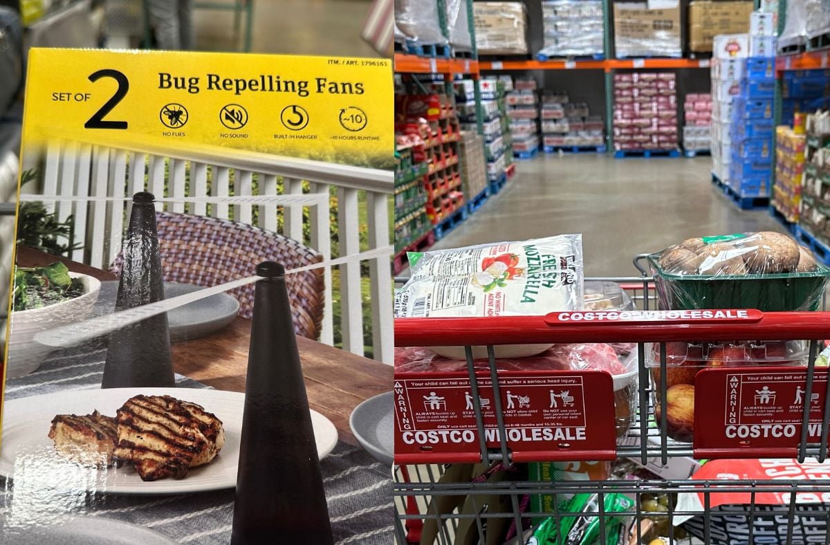20 New Costco Items That Will Upgrade Your Summer - Suburbs 101