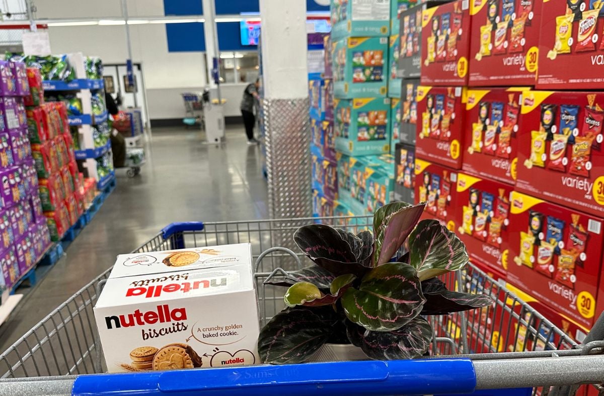 21 New Snacks from Sam's Club That Are Perfect For Road Trips - Suburbs 101